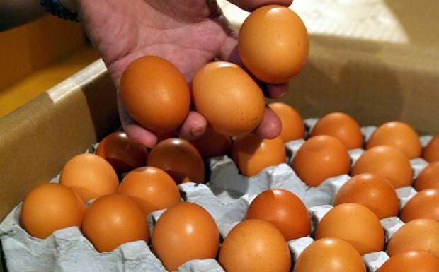 ¿cuántos Huevos Puedo Comer Al Día El Comercio